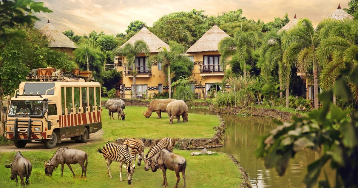 Wilderness in Luxurious Accommodation - Mara River Safari Lodge
