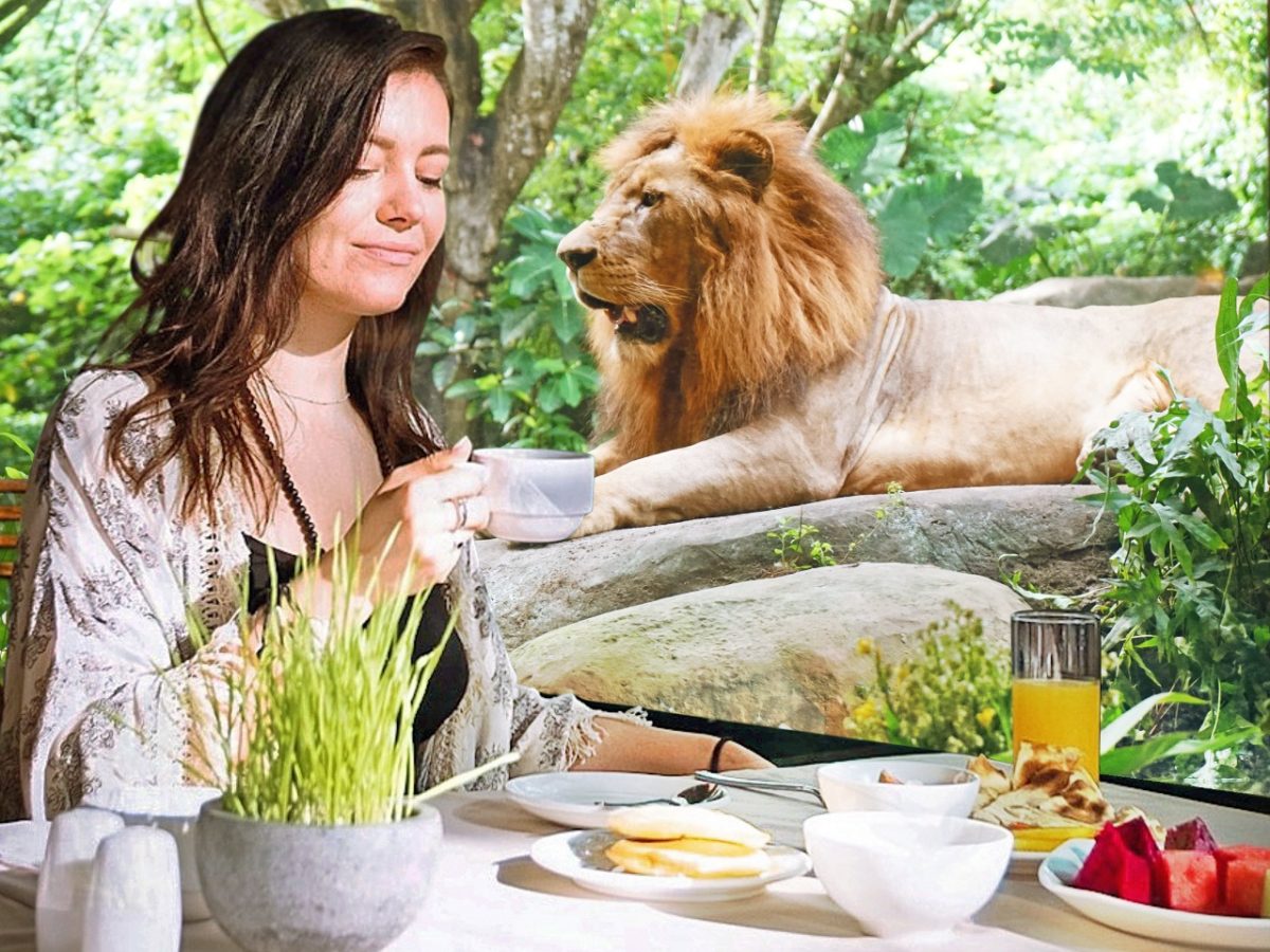 Breakfast with Lions, a Unique Dining Experience