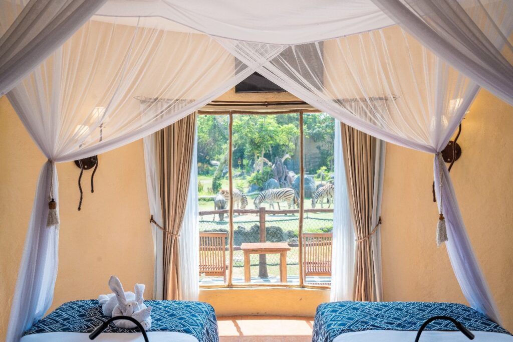 Room Type - Mara River Lodge