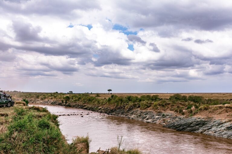 Discovering the Majesty of the Mara River: Africa's Vital Ecosystem